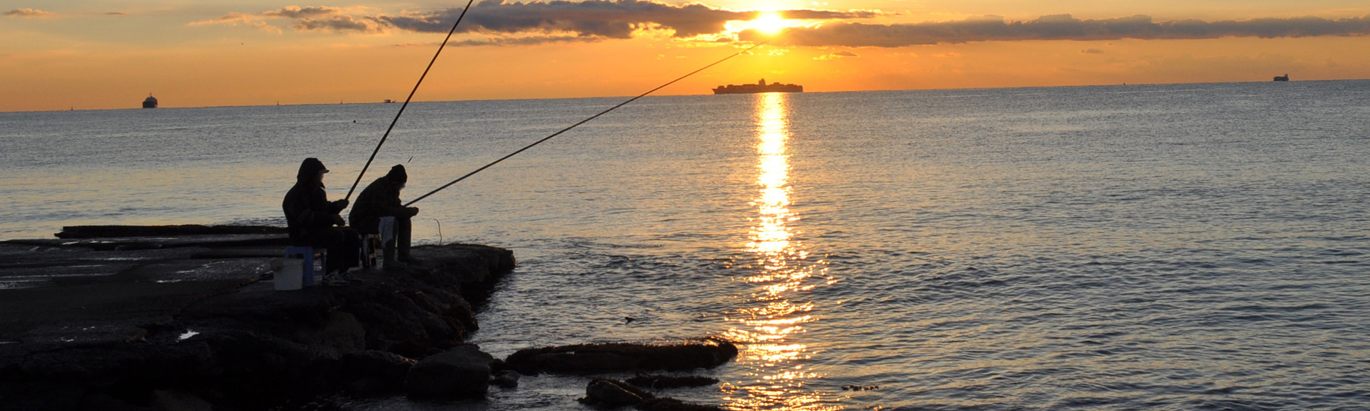 News-Pokee Fishing Tackle Co., Ltd.